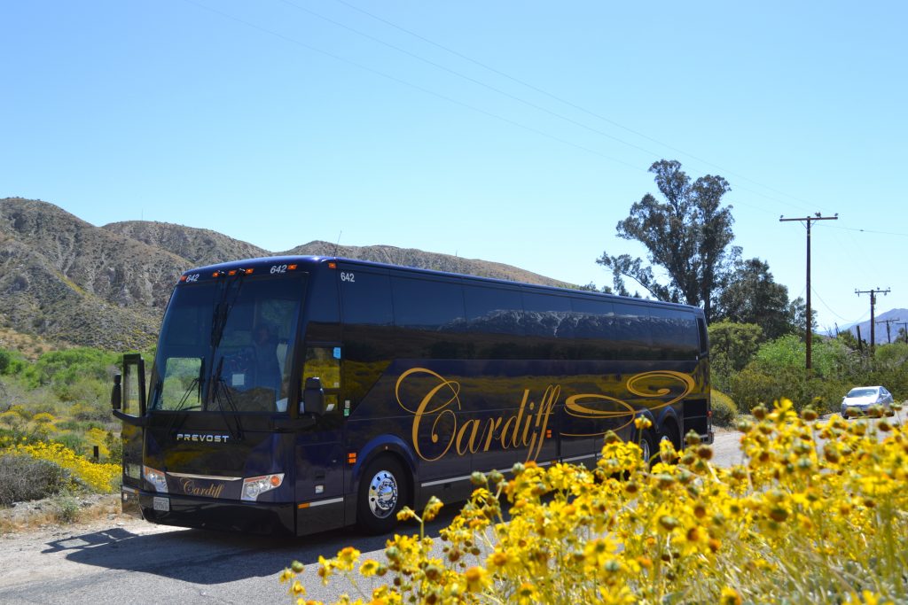 Bus Charters - Cardiff Limo