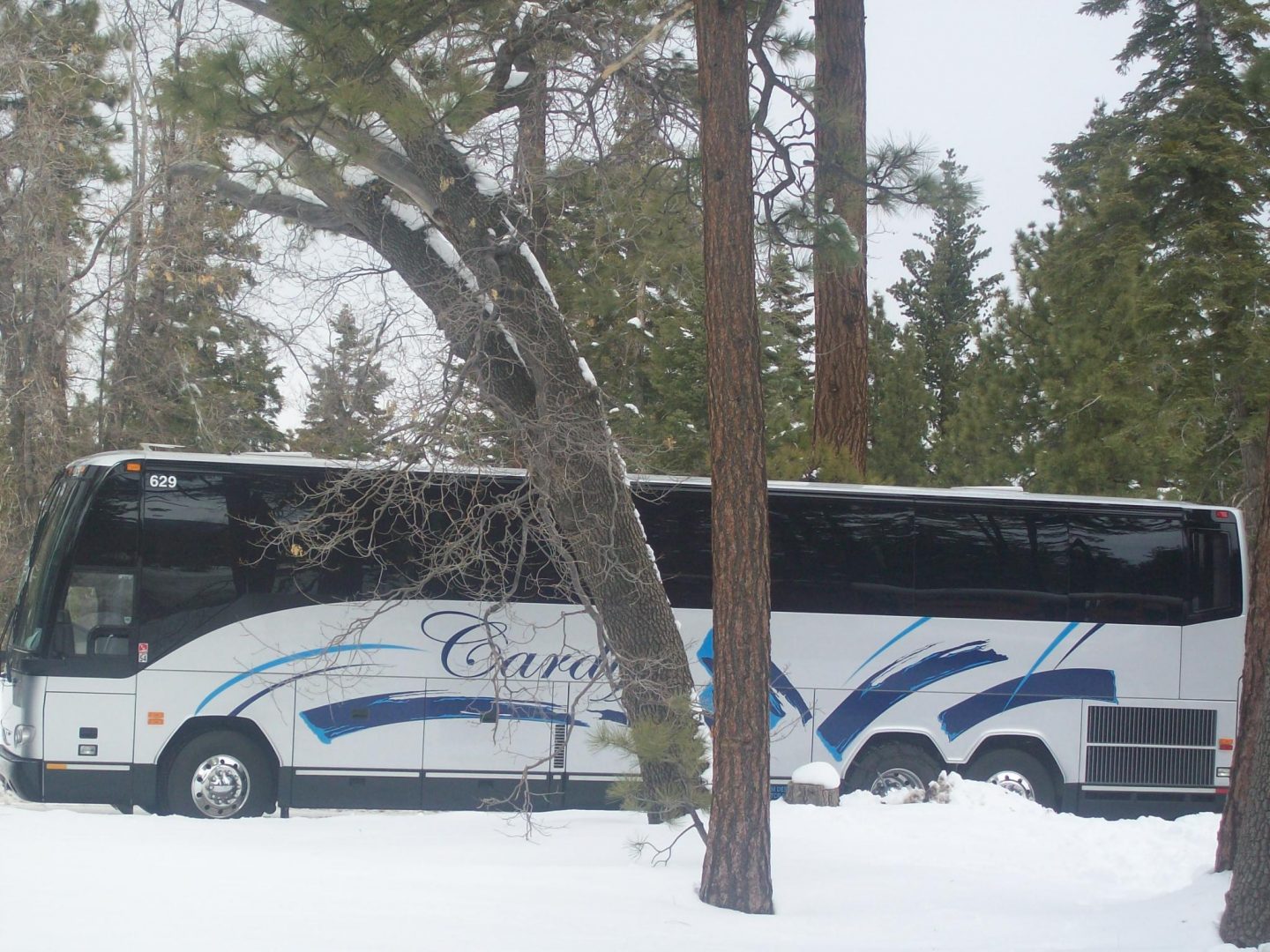 Bus Charters - Cardiff Limo